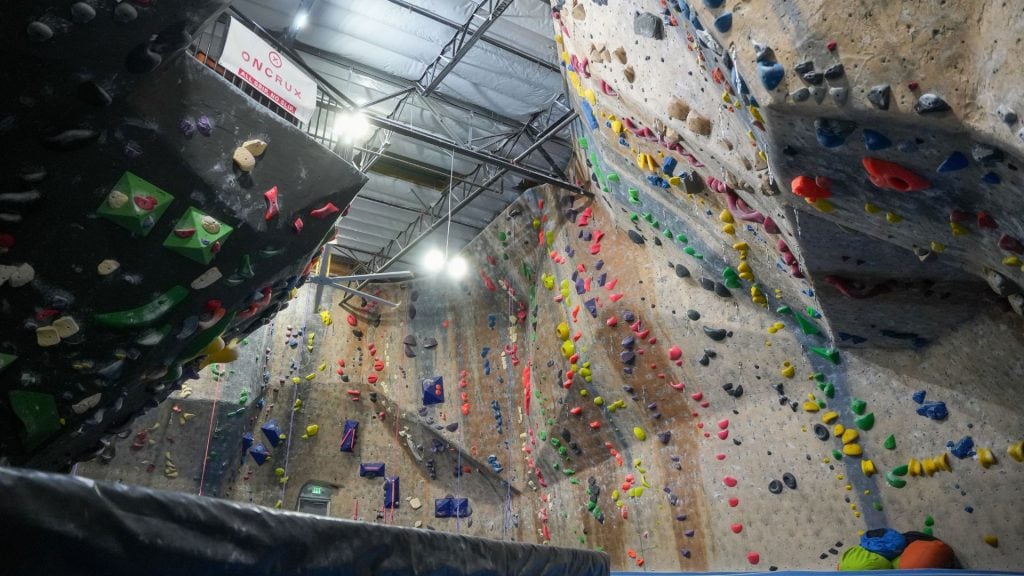 Largest Climbing Gym Developers in America